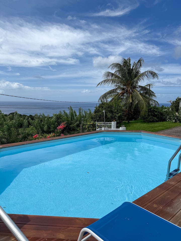 Vue Mer, Piscine + Location Véhicule Possible - Le Prêcheur