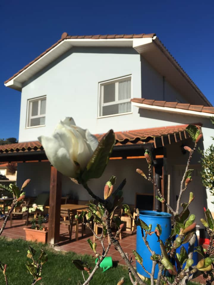 La Casita Azul - Sangüesa