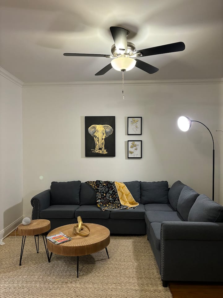 Comfy 3bdrm Near Lsd,obama Center, Uic, Sci Museum - Fernwood - Chicago