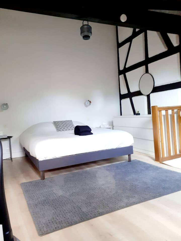 Duplex Centre Historique - Estrasburgo