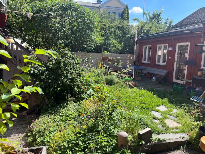 Koselig Leilighet På Kampen I Oslo - Oslo