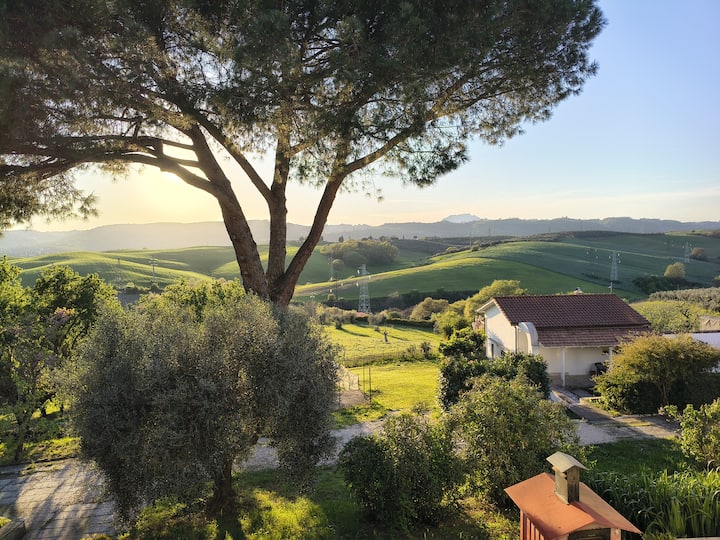 All'ombra Del Pino - Fiano Romano