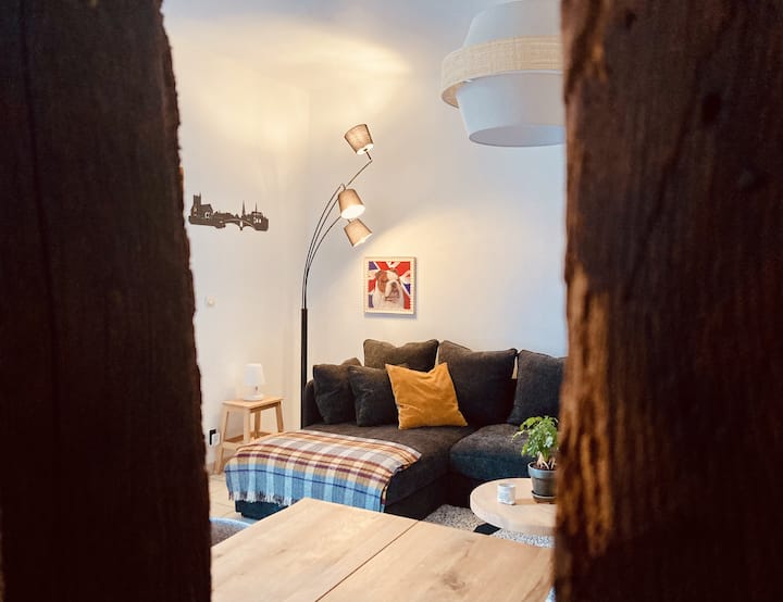 Le 54, Appart' Authentique Et Douillet (10’ Gare) - Auxerre