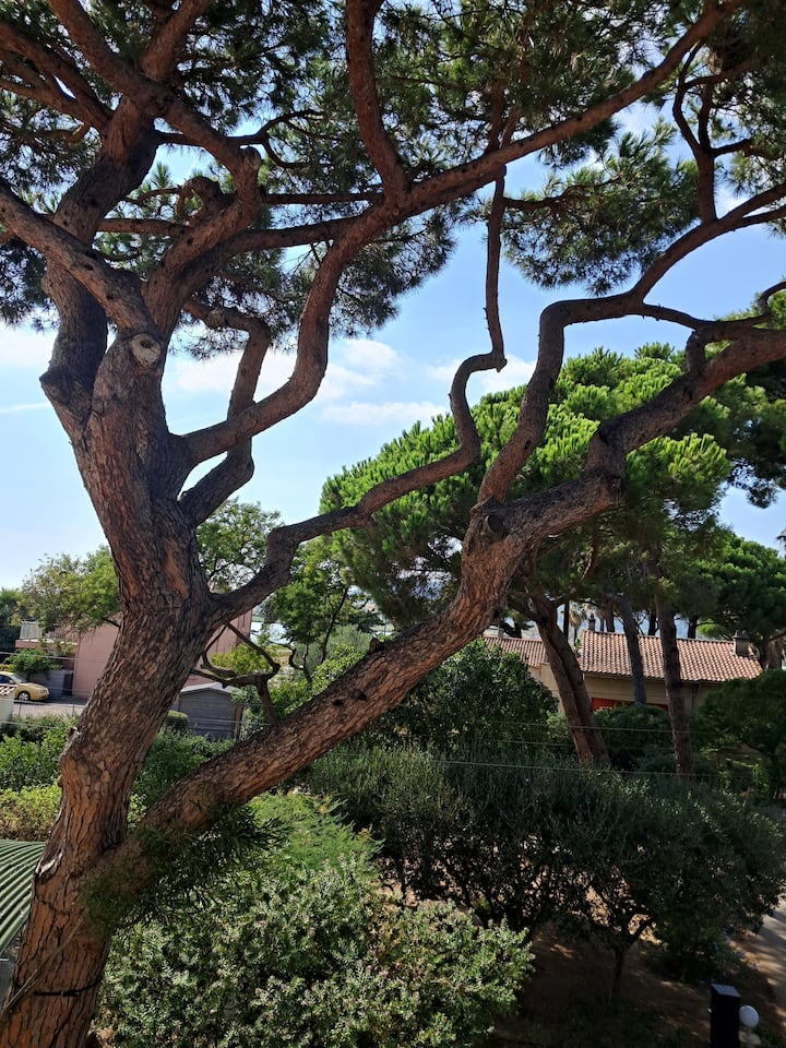 Charmant Appartement T2/t3 - Presqu'île de Giens