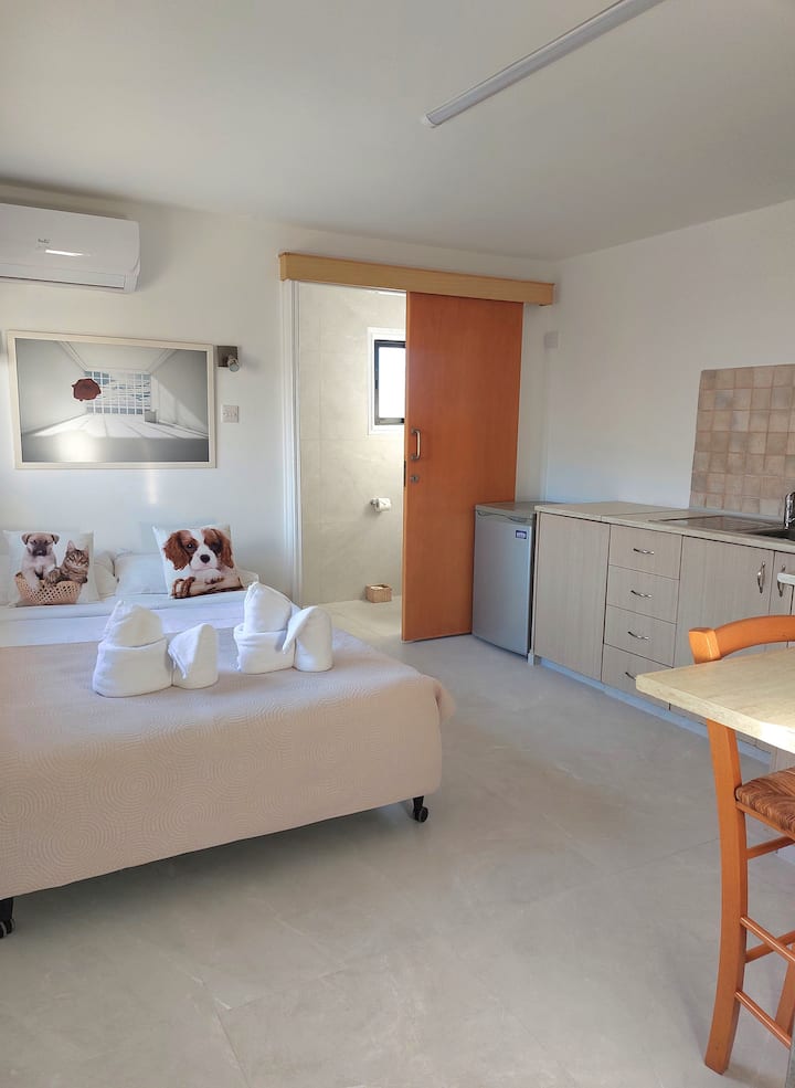 Studio, 5 Minutes From Finikoudes Beach - Larnaca