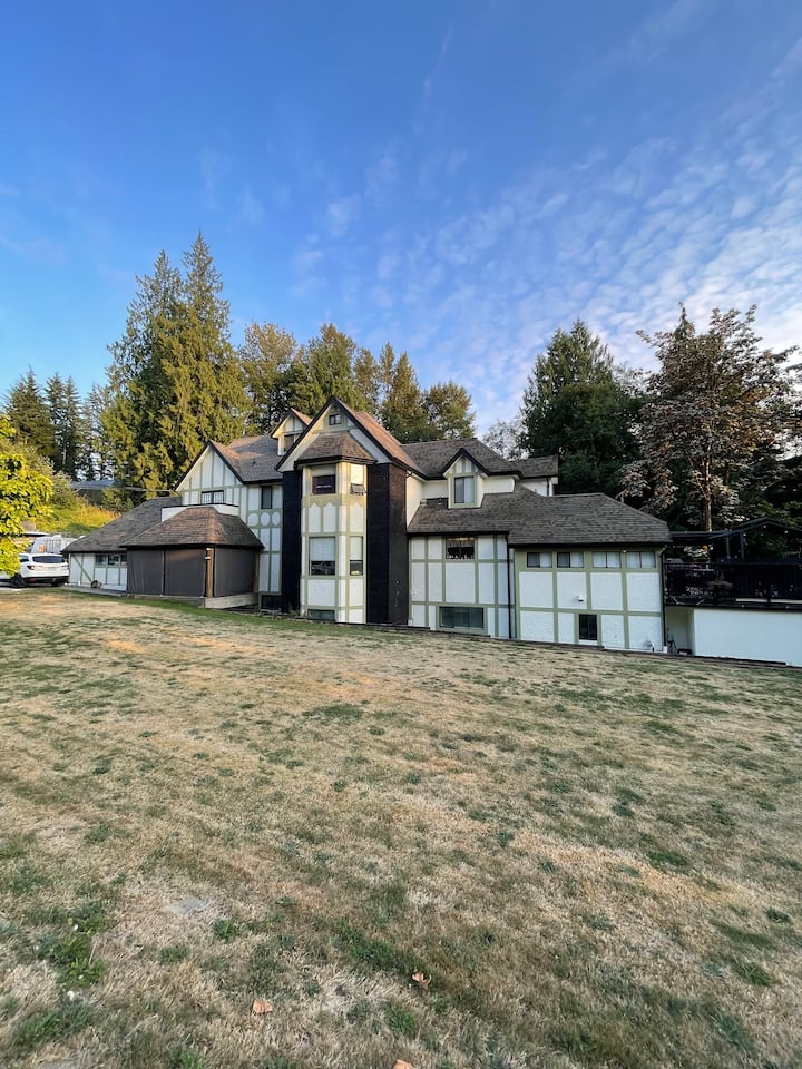 3 Bed 1 Bath Basement Suite - Langley