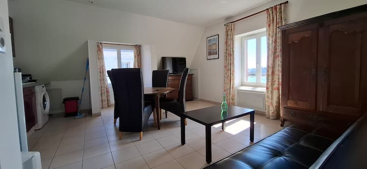 Gien Joli T2  Plein Centre Ville Vue Sur La Loire - Gien