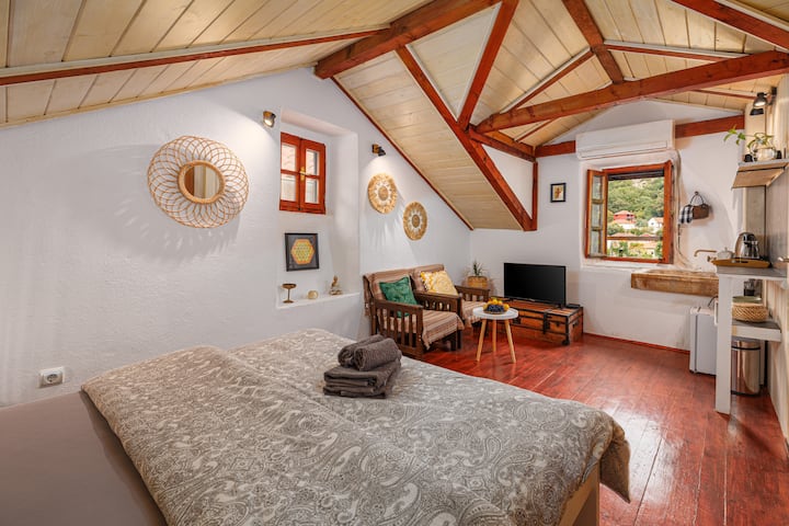 Healthystudio512 Rosemary Room 6 - Kotor