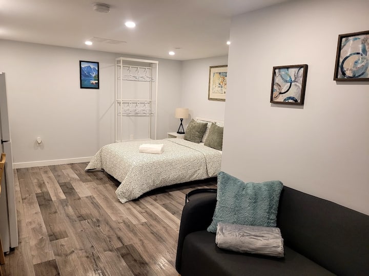 (Apt 3)new Lower Level Studio+laundry+parking - Mississauga
