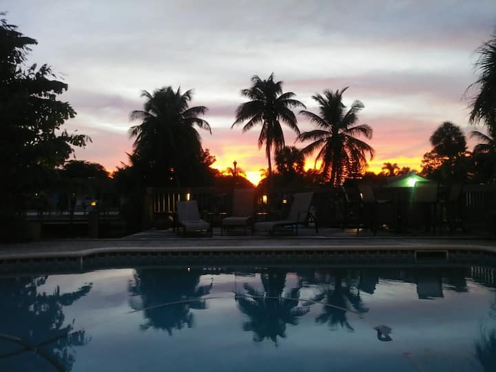 Come Relax In This Great Tropical Atmosphere - Dania Beach, FL