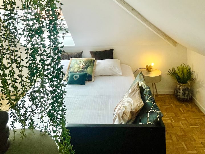 Mountain Moose Studio ~ Maison Nelle, Centrum : ) - Antwerp