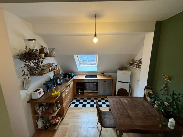 Spacious Flat For Cat Lovers/ Train K-ehrenfeld - Köln