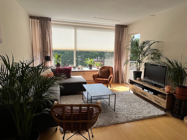 Sunny Apartment In Haarlem - Haarlem