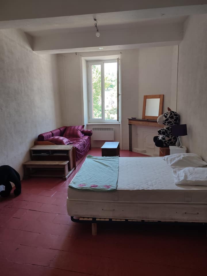 Grand Appartement Des Cévennes - Anduze
