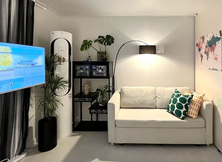 Korean Style•quiet•clean•hongdae•subway10m•concert - Seoul