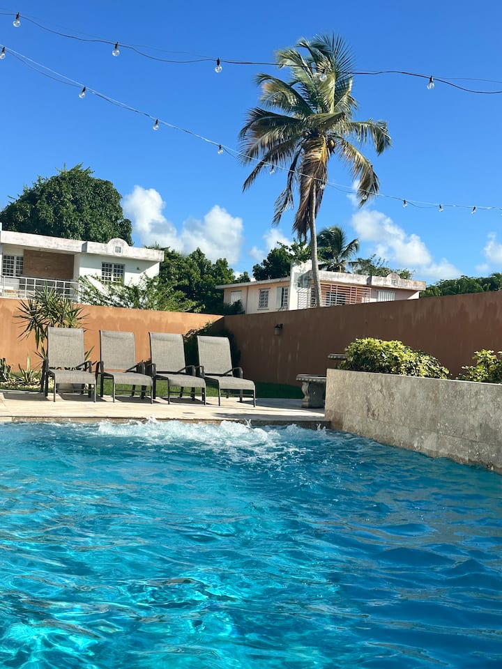 Morning Glory At Villa Palmira - Puerto Rico
