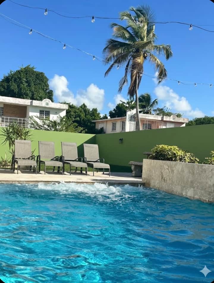 Morning Glory At Villa Palmira - Puerto Rico