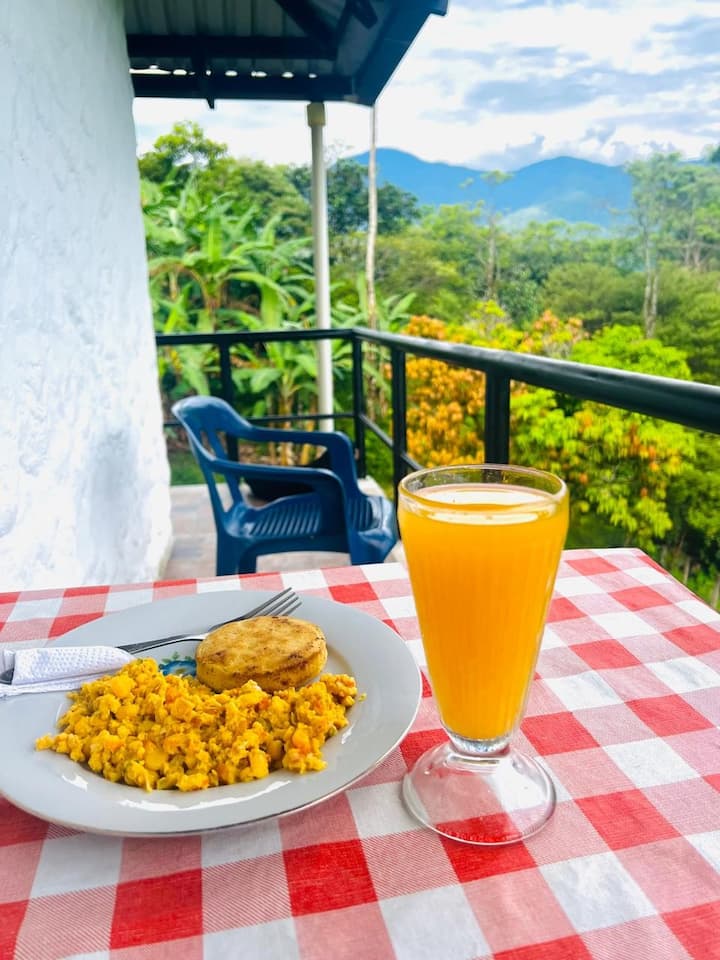 Mirador Alpe De Huez - Acacías