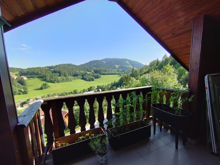 Appartement 4/6 Pers - Les Fourgs