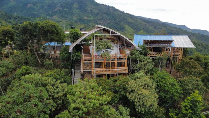 Disponible Navidad Y Año Nuevo - Ibagué