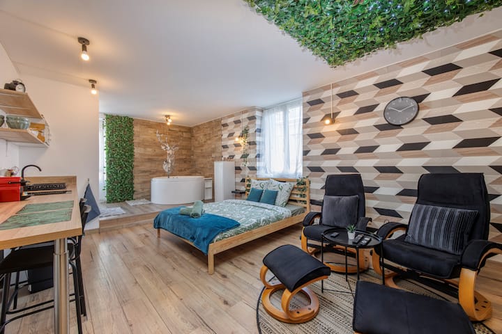 Le Scandinave Spa - Saint-Étienne