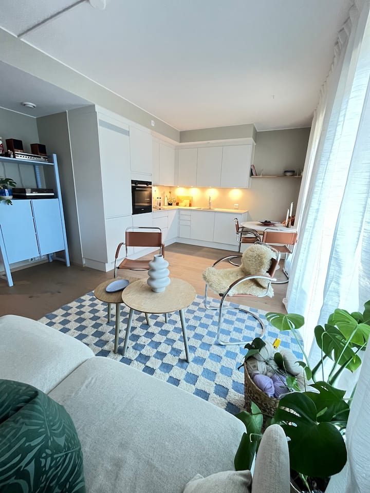 Bright, Modern Flat Close To City Centre - Stavanger