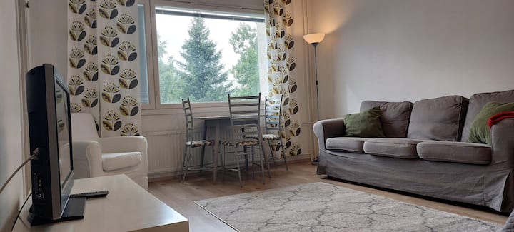 Mukava Ja Rauhallinen Yksiö - Rovaniemi