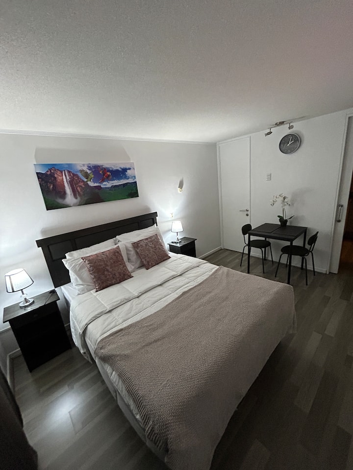 Departamento Salto ÁNgel Providencia - Providencia