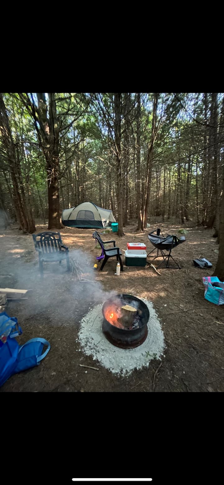 Wilderness Campsite - Horseshoe Valley, ON
