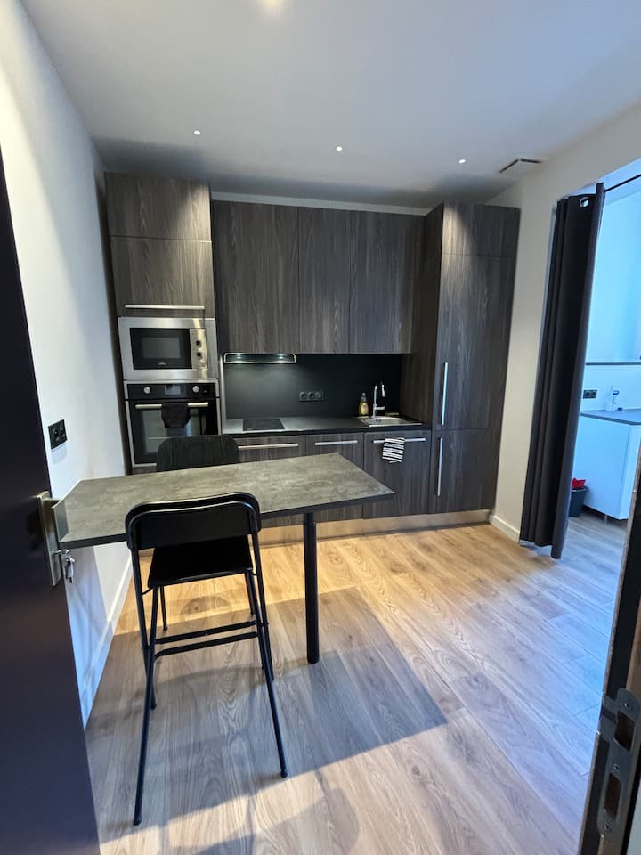 Appartement Hyper Centre De Grenoble - Grenoble