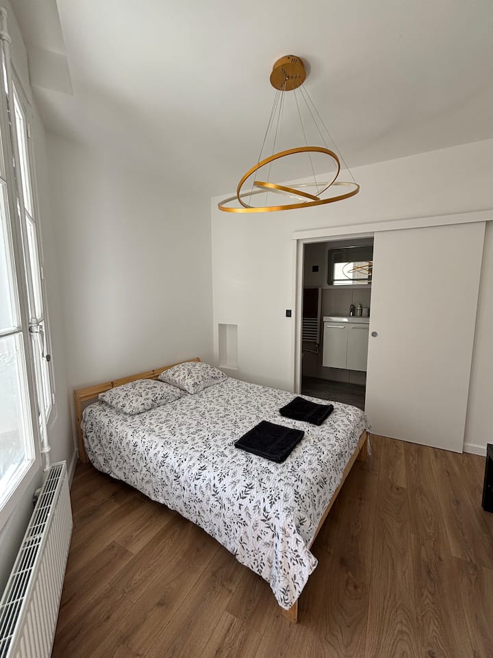 Appartement Hyper Centre De Grenoble - Grenoble