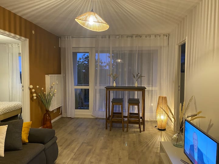 Joli Et Cosy Appartement T2 - Metz