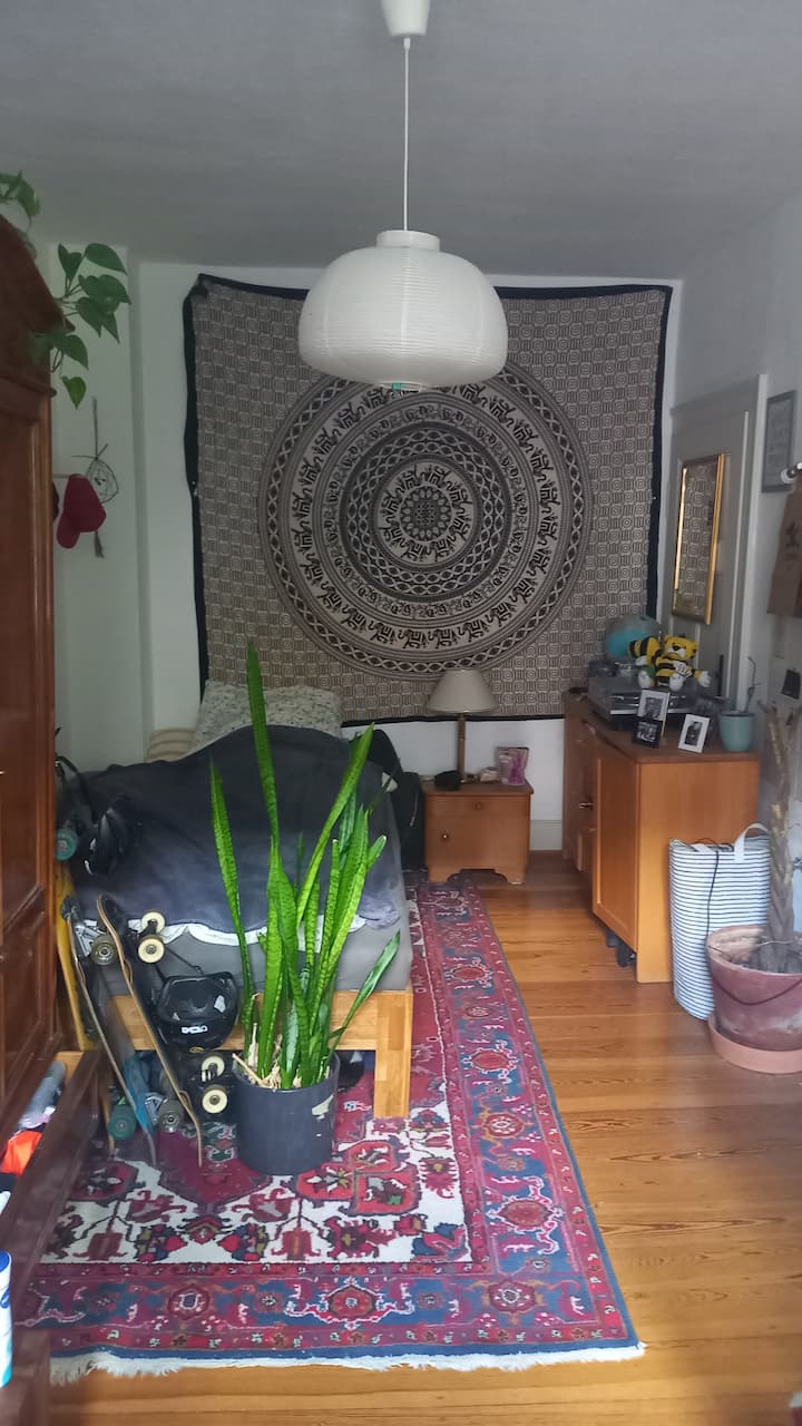 Schönes Wg-zimmer Zur Untermiete - Freiburg im Breisgau