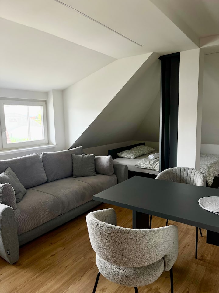 Apartments Kamr’ca - Superior Apartment #9 - 盧布爾雅那