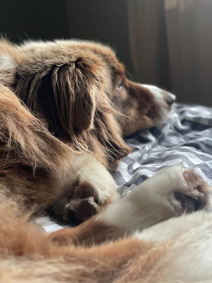 Mysigt Och Bra Sjönära Boende - Borås