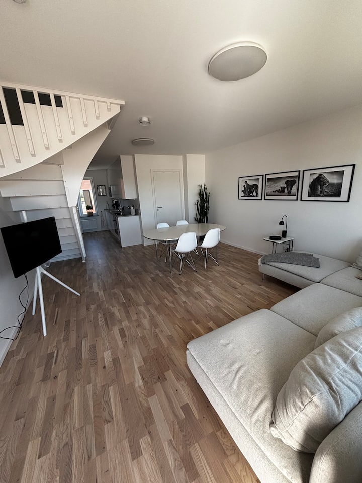 Modern Lägenhet Med Takterass - Lund