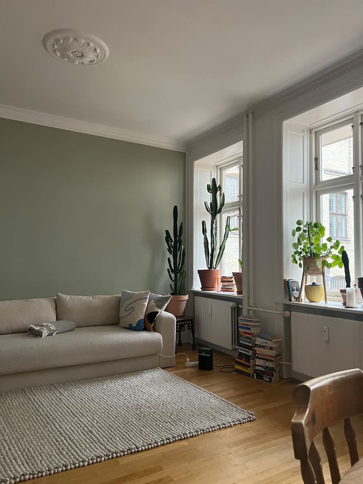 Super Central & Cozy Flat In Copenhagen City - Copenhagen