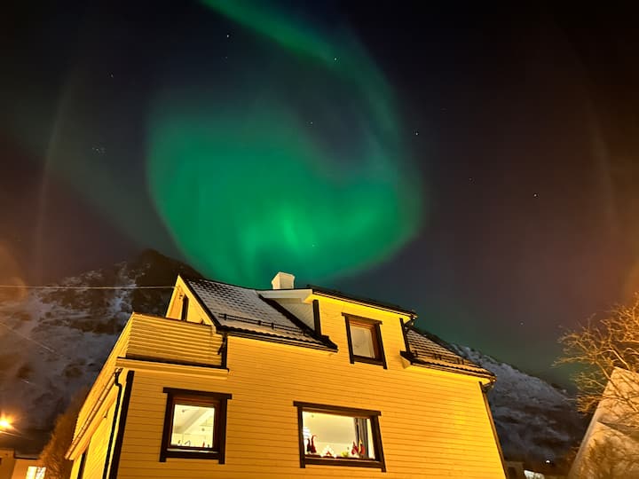 Serene Room With Private Terrace & Fjord Views - Norway