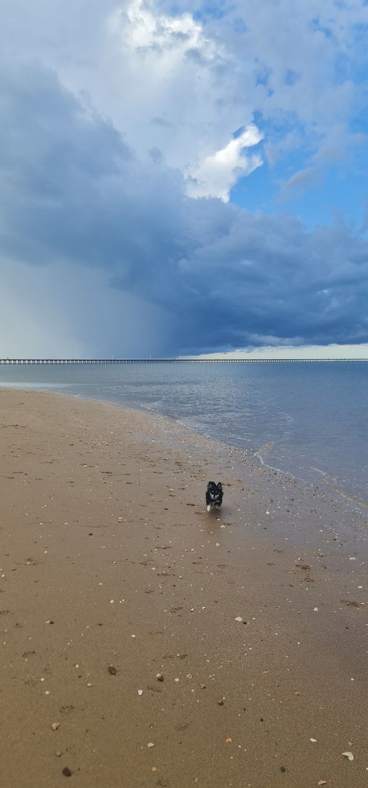 Wake Up To Sunrise Over The Sea & Park. Large Unit - Hervey Bay