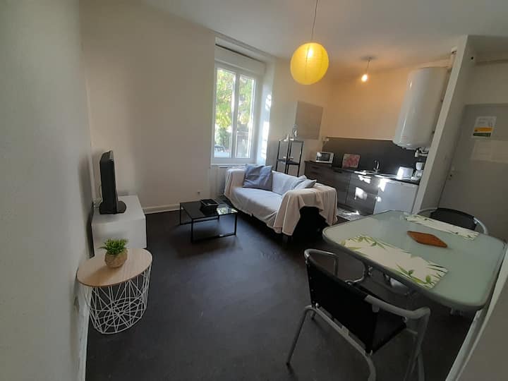 Appart Avec 1 Chambre Proximité Psa, Cv Et Gare - Montbéliard