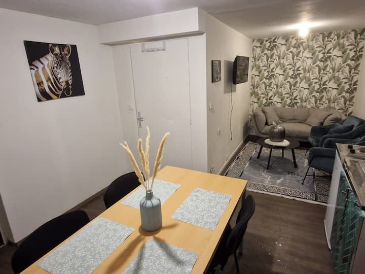 Appartement Meublé - Roubaix
