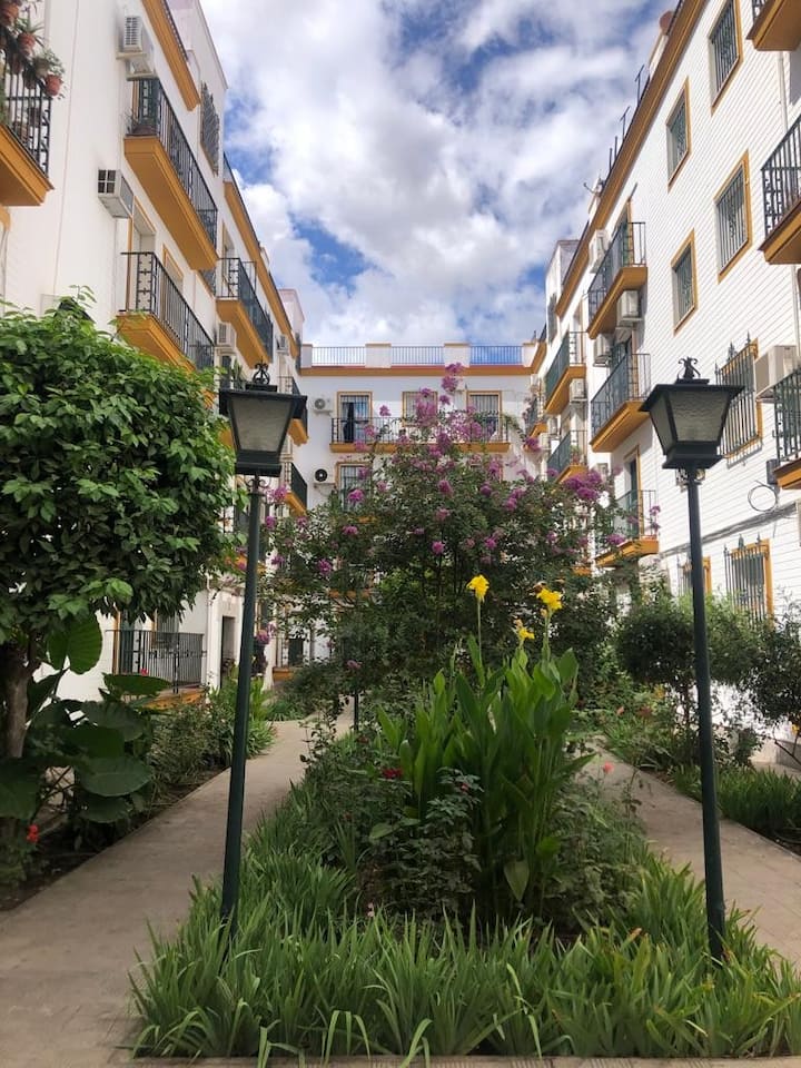 Room , MartÃnez - Seville