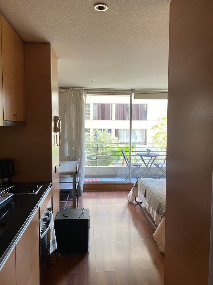 Encantador Departamento Estudio - Santiago