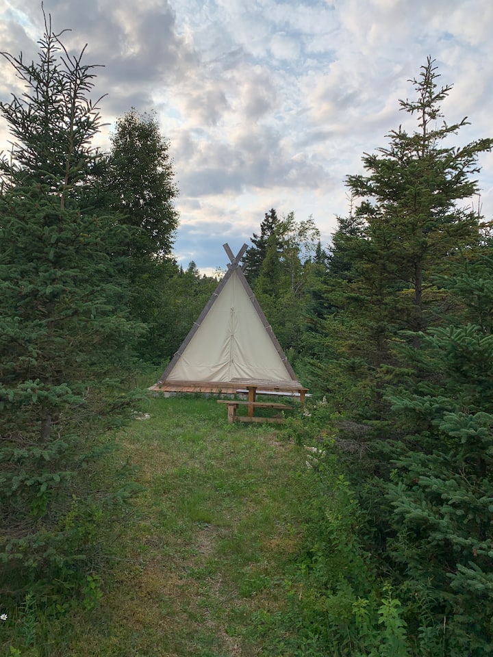 Vivez L’expérience Viking / Höd - La Malbaie
