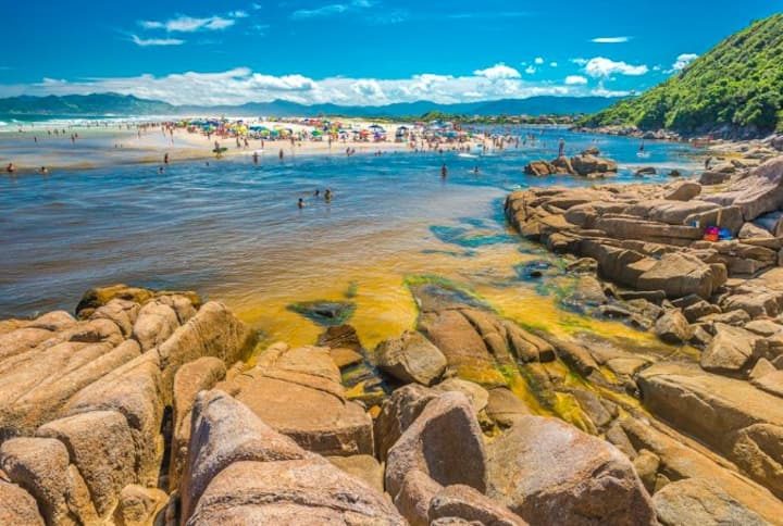 Apartamento Moderno E Luxuoso! - Santo Amaro da Imperatriz