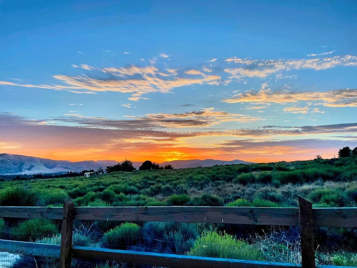 Gypsy Horse
Traveler Ranch
*Equine Stay*retreat - Tehachapi, CA