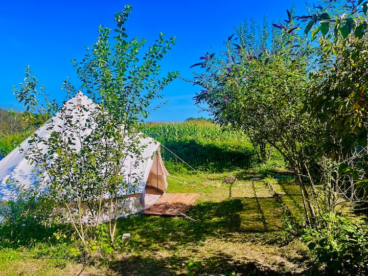 Privater Stellplatz Zelt/camper/wohnmobil - Freiamt