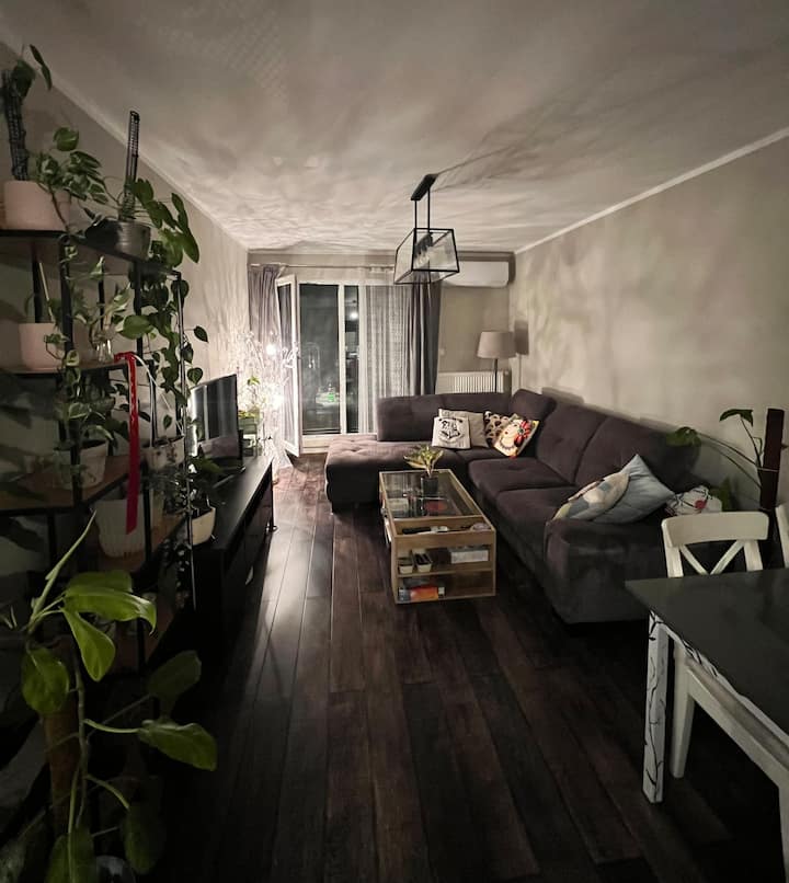 City Jungle Loft - Wrocław