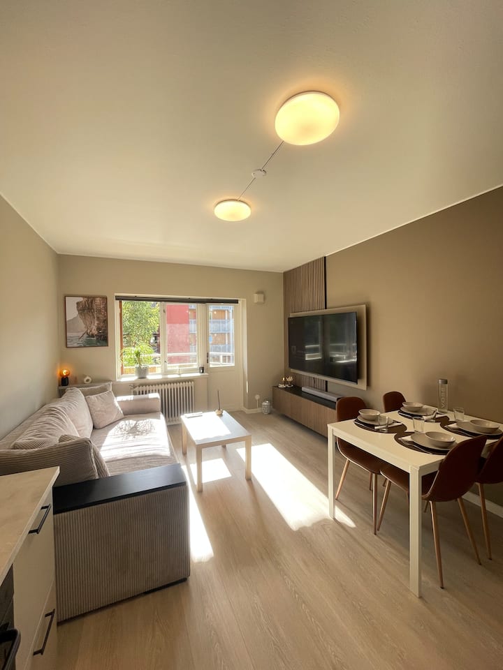 Nyoppusset Sentral Leilighet. - Oslo