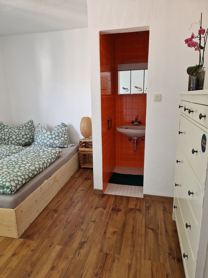 Zimmer Mit Privatem Badezimmer - Dornbirn
